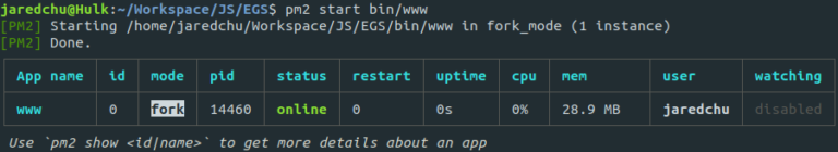 Quản lý Node.js process với PM2 - The Lazy Developer